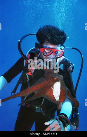 Common octopus, Octopus vulgaris, diver Stock Photo - Alamy