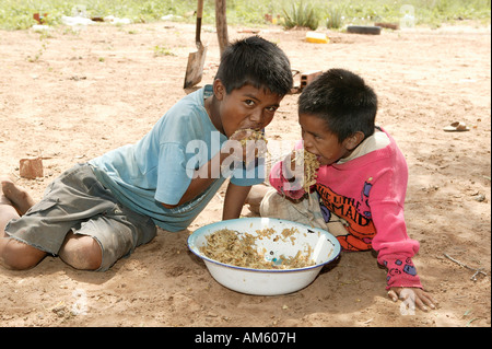 Children eating fresh, hackled sugar cane, Nivaclé native American ...