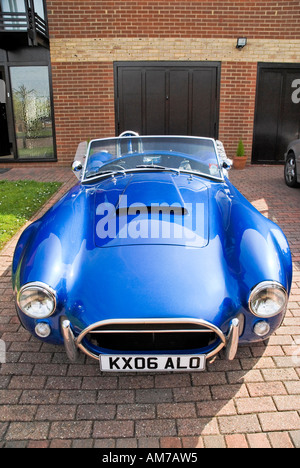 Shelby AC Cobra Grille Stock Photo - Alamy