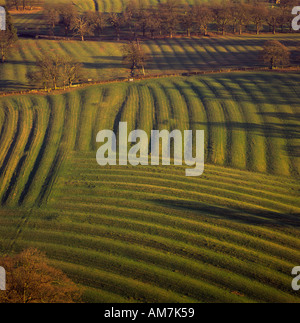 Ancient ridge and furrow fields UK aerial view Stock Photo - Alamy