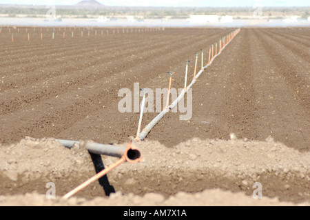 Desert irrigation in southwest Arizona for farming with Colorado River ...