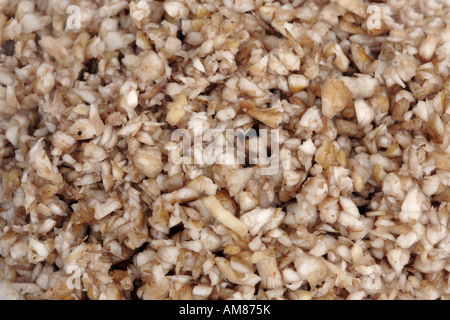 Dandelion root ground un-roast Stock Photo - Alamy