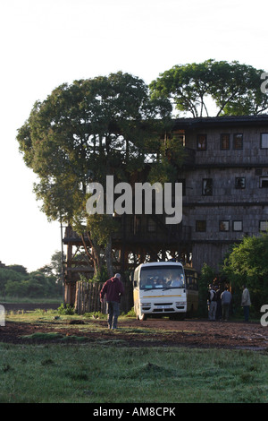 Treetops Lodge, Aberdare National Park, Kenya Stock Photo - Alamy