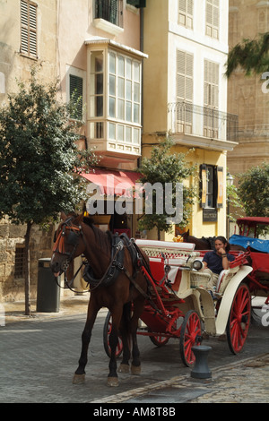 Horse drawn taxi cab Majorca Spanish island transportation Stock Photo ...