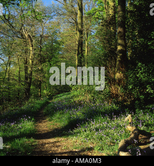 english country path derbyshire Stock Photo - Alamy