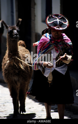 Llama,traditional animal of Peru Stock Photo: 255416617 - Alamy