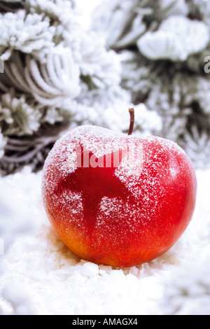 Christmas decoration apples with snow Stock Photo - Alamy