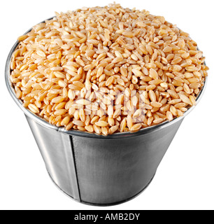 Cut out: Wheat kernels Stock Photo - Alamy