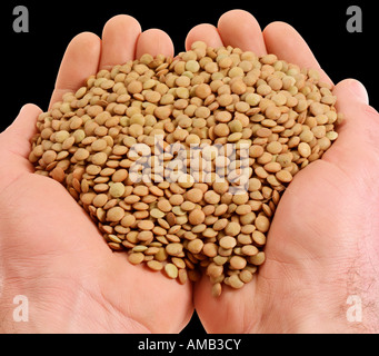 HANDFUL OF GREEN LENTILS Stock Photo - Alamy