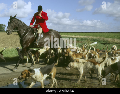 South Wold hunt huntsman and hounds on bridleway in the Lincolnshire ...