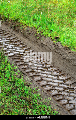 Muddy dirt road with tire tracks winding through the forest in early ...