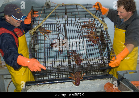 Crayfishermen Robert Mcherron and Jamie Reinke bringing up a cray pot ...
