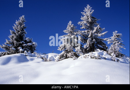 Bavaria : landscape - snow Stock Photo - Alamy