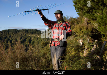 Deforestation Ohakune New Zealand Stock Photo - Alamy