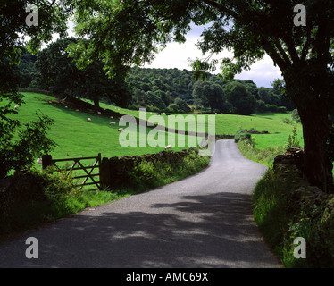 A generic country lane road with fields, fence and trees in spring ...