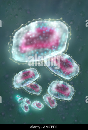 Smallpox virus. Illustration of a smallpox (variola) virus. A membrane ...
