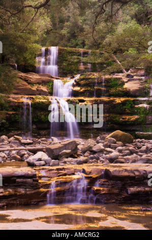 Liffey Falls, UNESCO World Heritage Site, Tasmania, Australia, Pacific ...