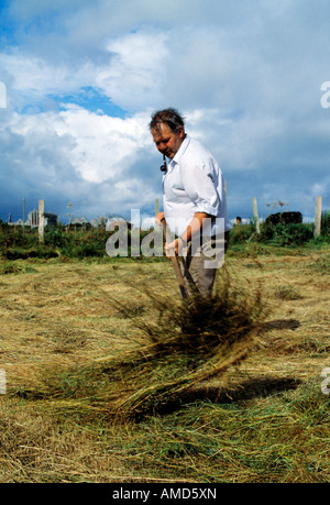 Farmer in a field of grass hay with his tractor, Bend, Oregon Stock ...