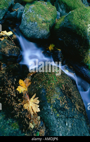 Long exposure of water stream viewed from wooden bridge Stock Photo - Alamy