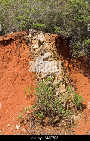 Volcanic dyke. Mass of igneous rock intruded into older red iron rich ...