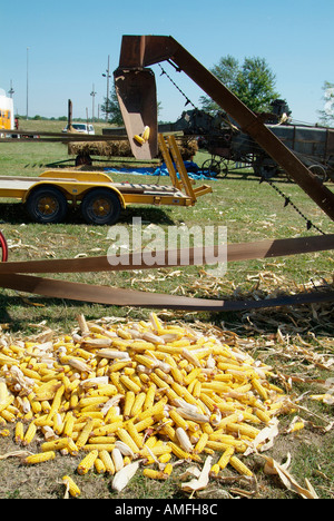 Husband and wife farmers thrash corn in a antique threshing machine ...