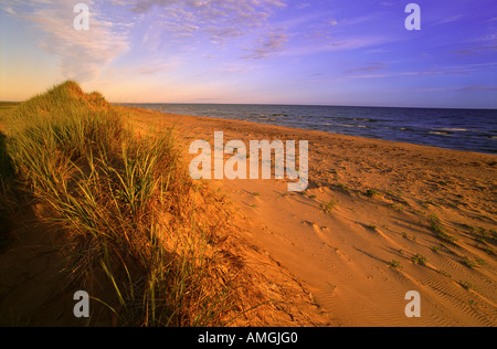 Blooming Point Beach, Prince Edward Island, Canada Stock Photo - Alamy