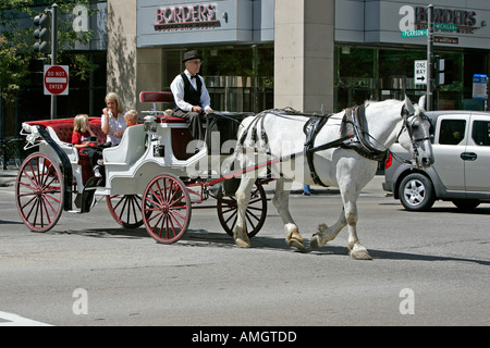 Horse and carriage ride Michigan Avenue Chicago Illinois USA Stock ...