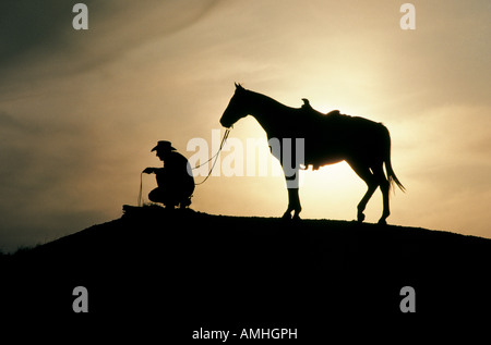 Cattle ranch, Texas Panhandle near Amarillo, Texas, United States Stock ...