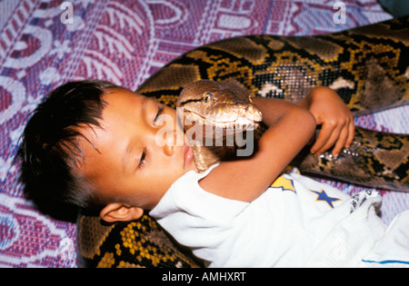Netzpython indonesien familly with tame Reticulated Python Python ...