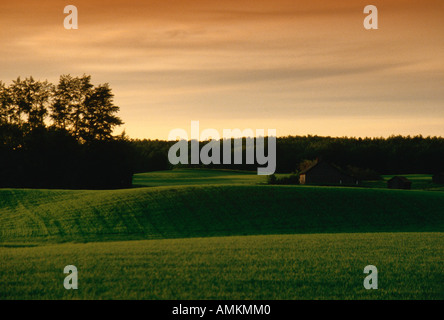 Canada, Alberta, Sunset over farmhouse Stock Photo - Alamy
