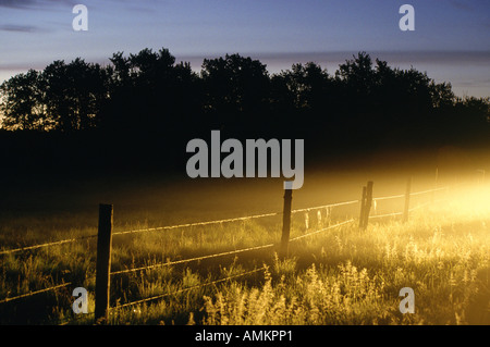 Barbed wire fence set up by Israel runs along the Israeli-annexed ...