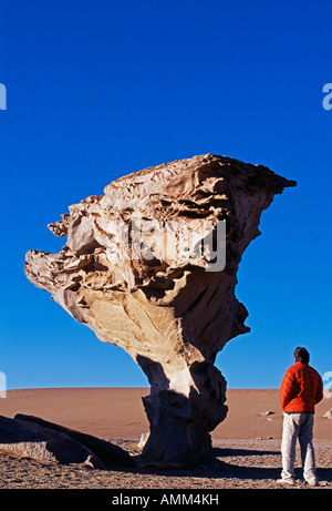 Stone Tree rock, Bolivia. Bolivian landmark. Arbol de Piedra Stock ...