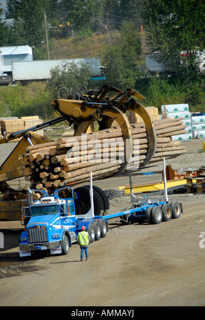 Logging Trucks Transport Lumber Forestry Logging Wood Industry Quesnel ...