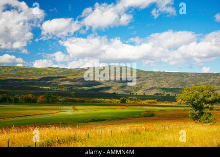 Corn fields in western Colorado Stock Photo - Alamy