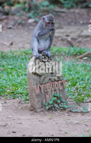Asian Grave Marker at Forest Park Cemetery Stock Photo - Alamy