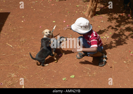 Dogs in animal shelter at Nairobi Kenya Africa Stock Photo - Alamy
