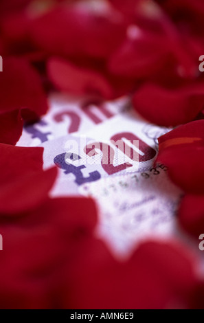 COMING UP ROSES Stock Photo - Alamy