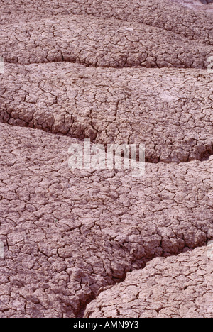 A detailed view of dry, cracked mud with a golden hue, resembling ...