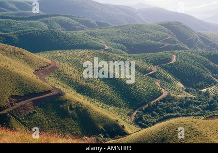 Long Tom Pass, S Stock Photo - Alamy