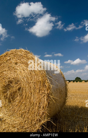 round straw balls Stock Photo - Alamy