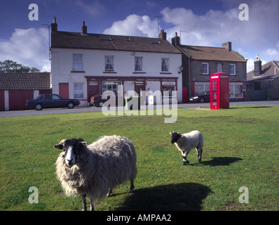 Aidensfield Stores and Post Office Goathland North Yorkshire Moors ...
