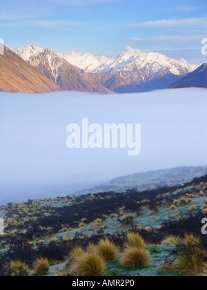 Mount D'Archiac, Rangitata Valley, New Zealand Stock Photo - Alamy