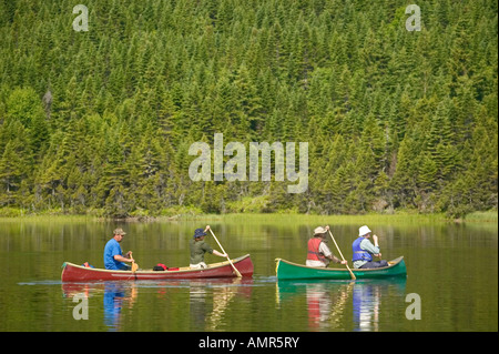 Canada, Newfoundland, Viking Trail, Main Brook, Tuckamore Lodge Stock ...