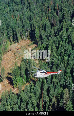 heli-logging, British Columbia, Canada / helicopter-logging Stock Photo ...