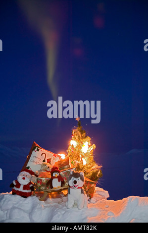 Northern lights with a view Stock Photo - Alamy