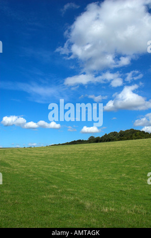 UK countryside blue sky with fluffly clouds Stock Photo - Alamy