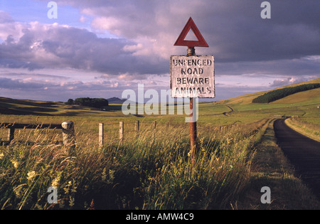 Scotland Scottish Borders Liddesdale Farm gate and undulating scenery ...