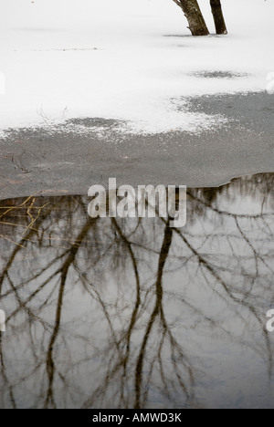 Ice patterns in a beaver pond at freeze-up, Greater Sudbury, Ontario ...