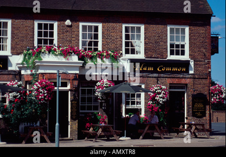 Ham Common, Ham, London, UK Stock Photo - Alamy