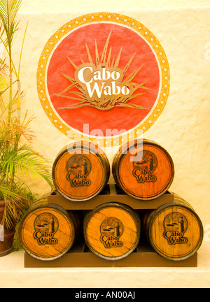 Cabo Wabo Bar, Cabo San Lucas, Baja California, Mexico Stock Photo - Alamy